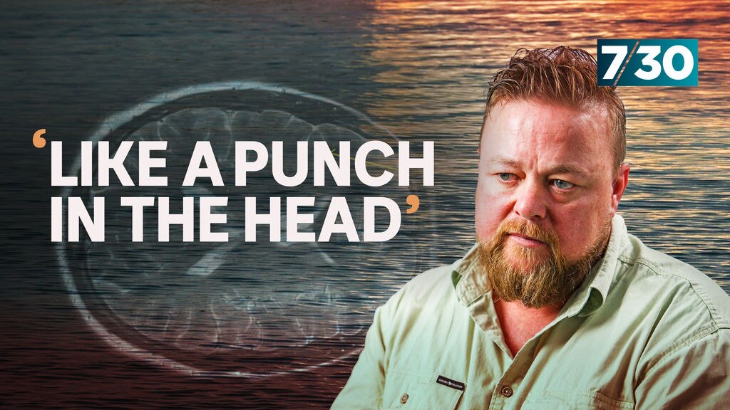 Archive - 7.30 - ABC News