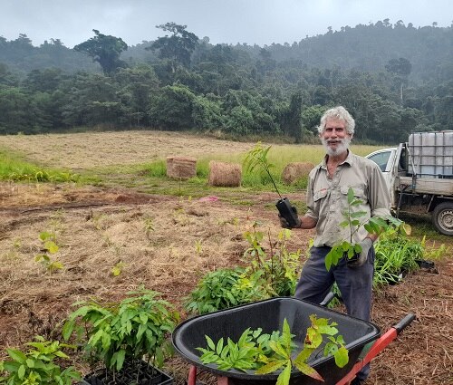 Bruce Highway cassowary bridge project finished over time, budget in ...