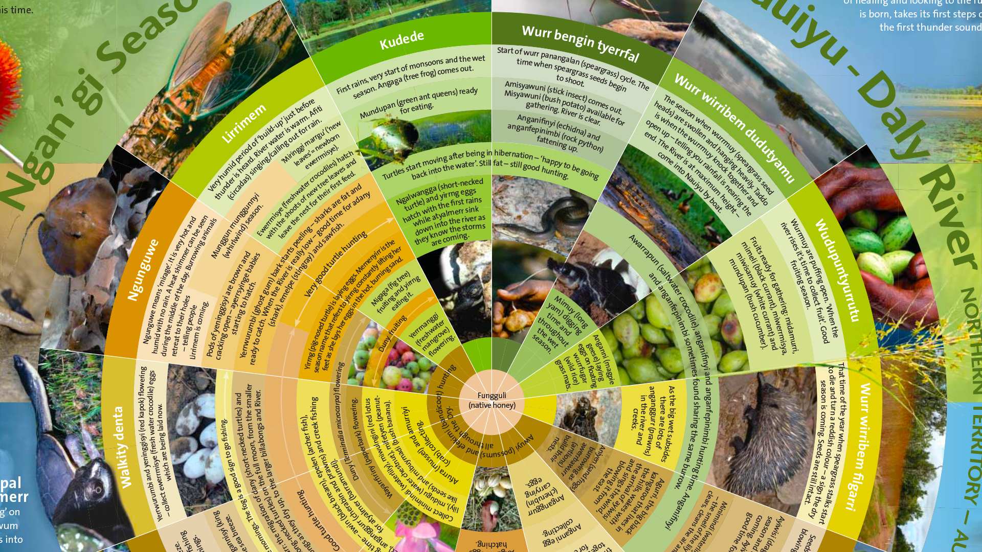 Indigenous Seasons - Behind The News