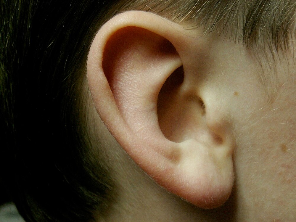 How to be a better listener - ABC listen