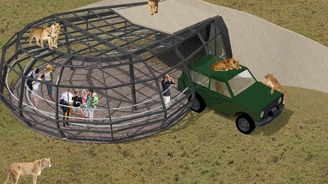 Zoos SA master plan: Safari-style accommodation, 'predator experience ...