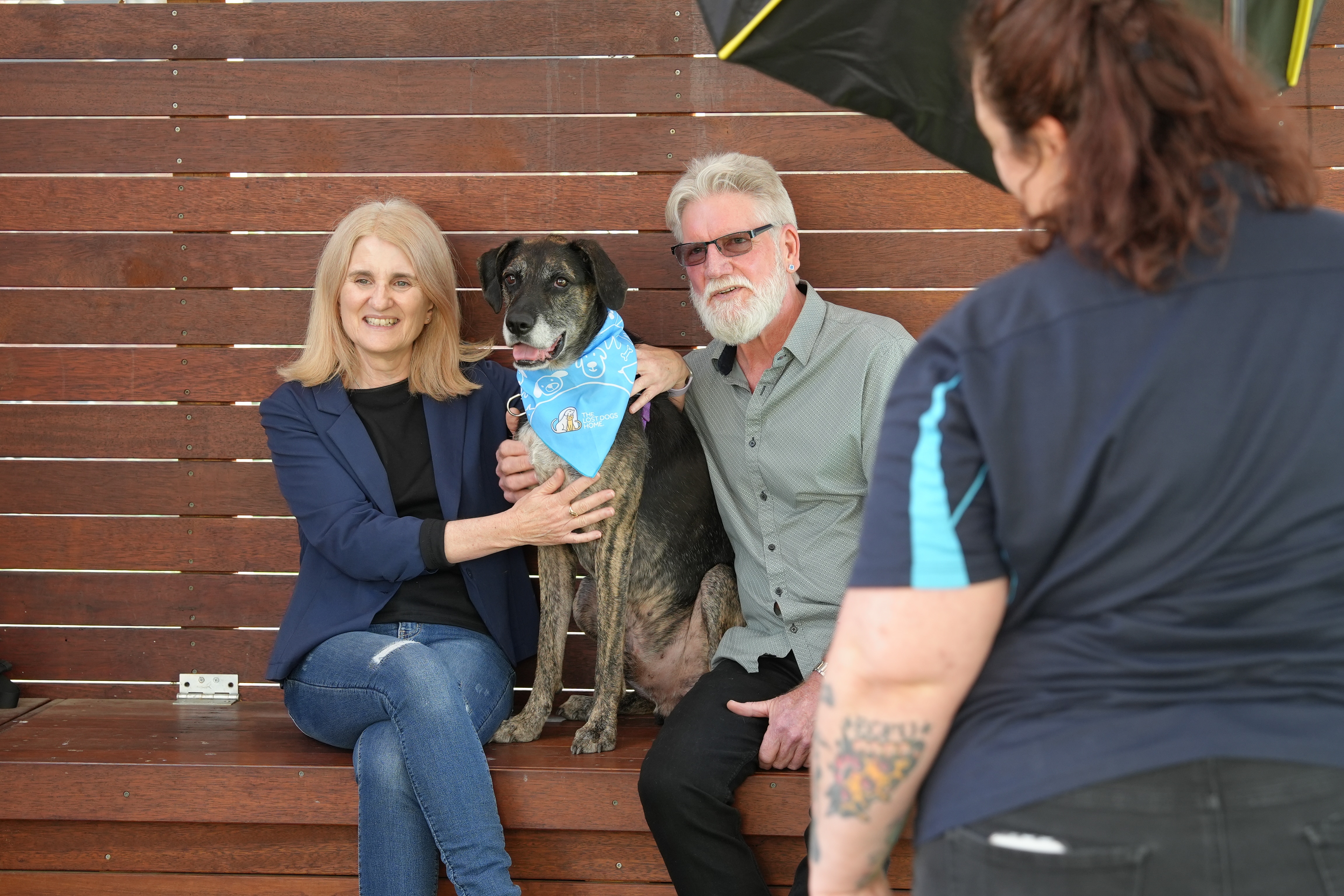 After being found abandoned and weighing just 12kg, staghound Atticus ...