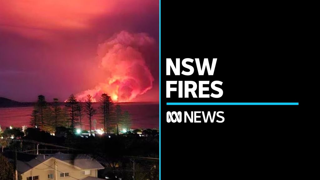 RFS says fires in northern NSW could take days to contain - ABC News