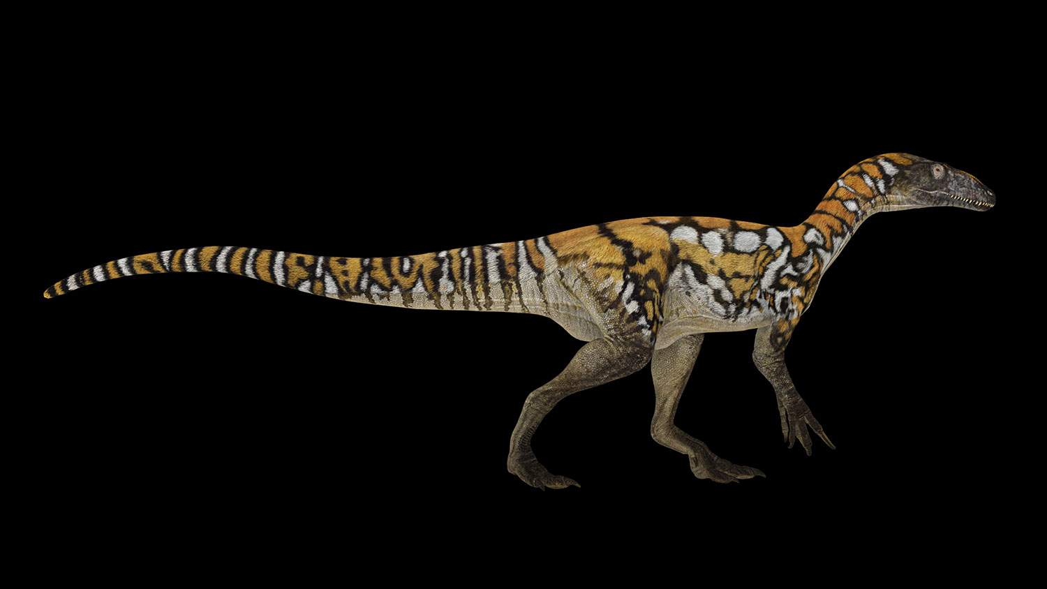 Dinosaurs made lifelike in world's most scientifically accurate ...