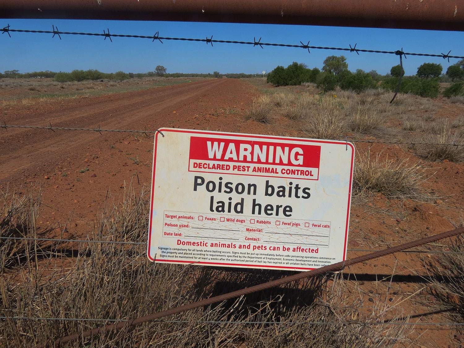 New wild dog bait receives steady reception - ABC News