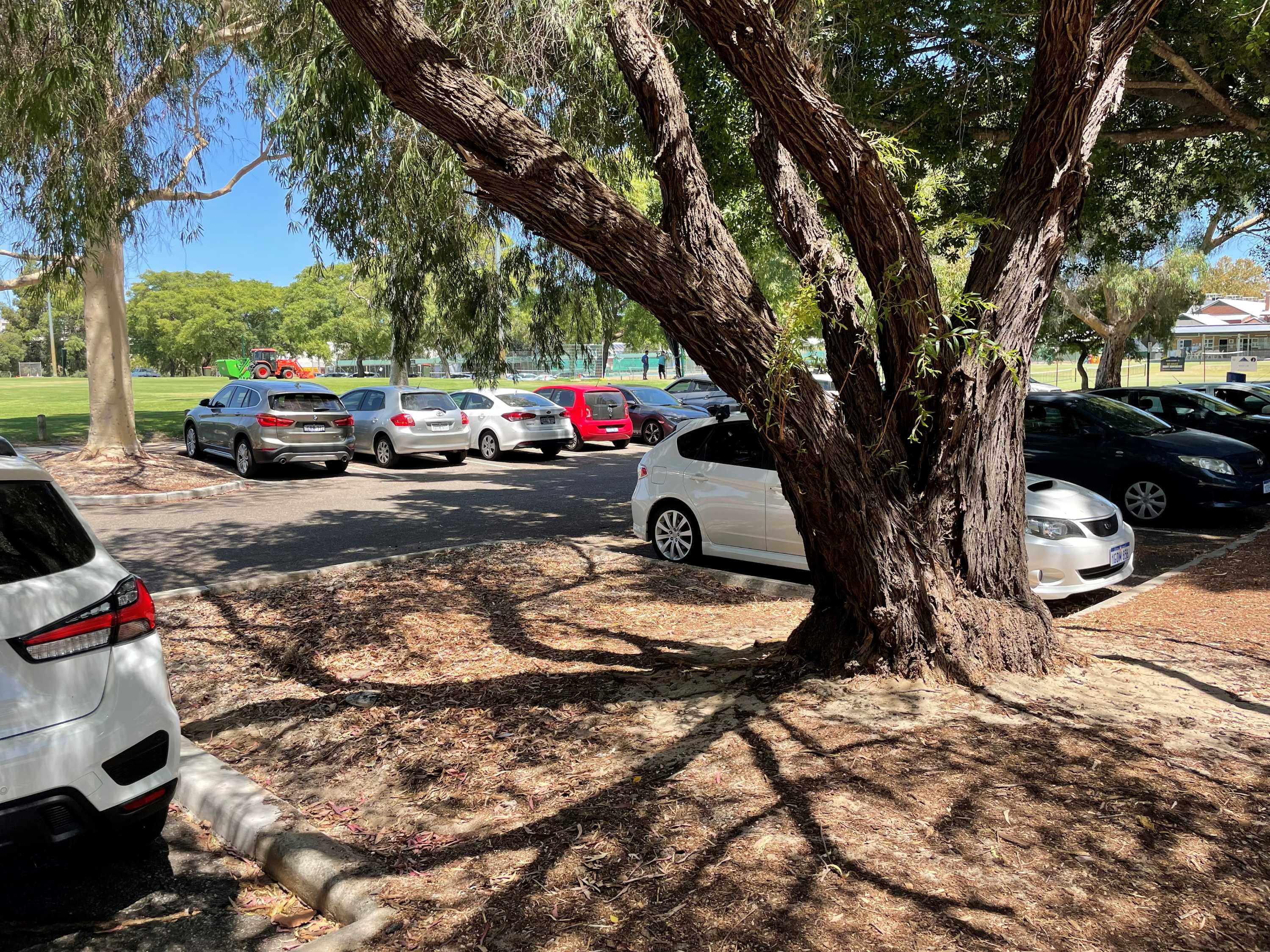 Good Sammy's forced to remove charity bins after "large number" of ...