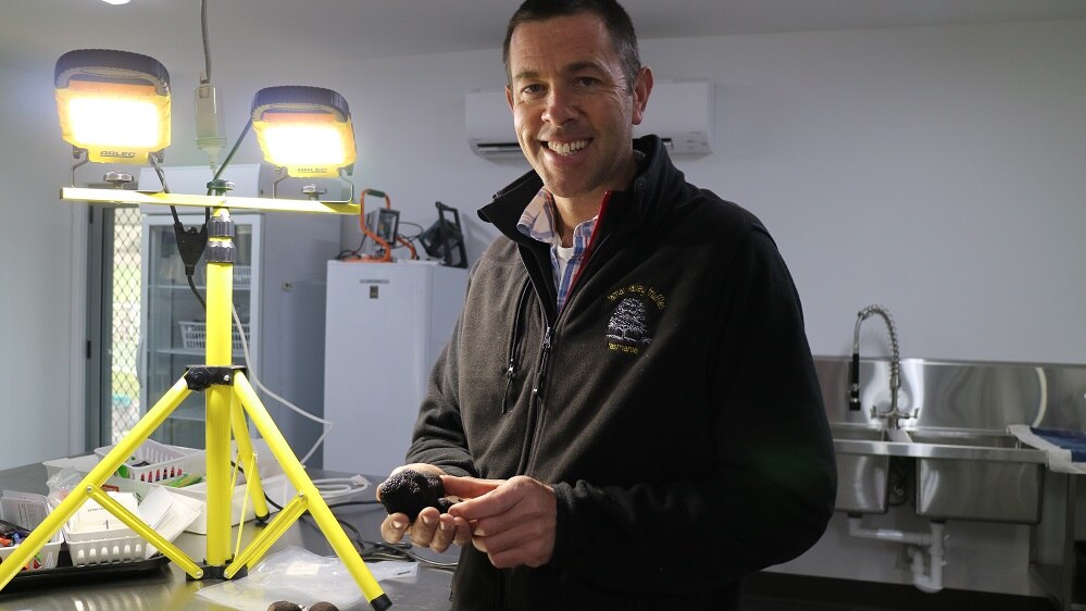 Tasmanian Country Hour - ABC listen