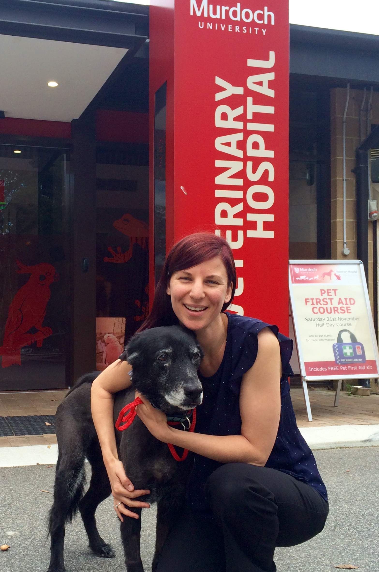 Christmas food can pose risks to some pets, animal hospital warns - ABC ...