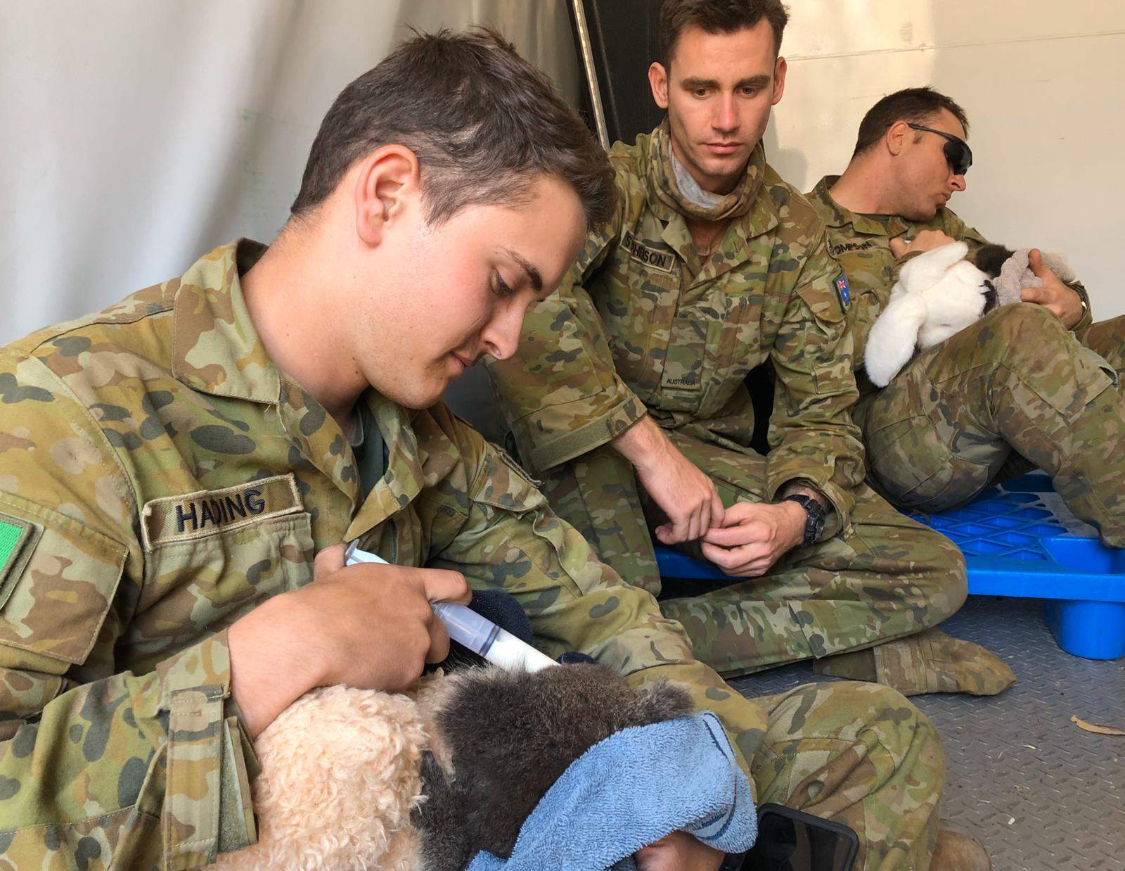 Journalist falls for Australian drop bear prank while covering Kangaroo ...