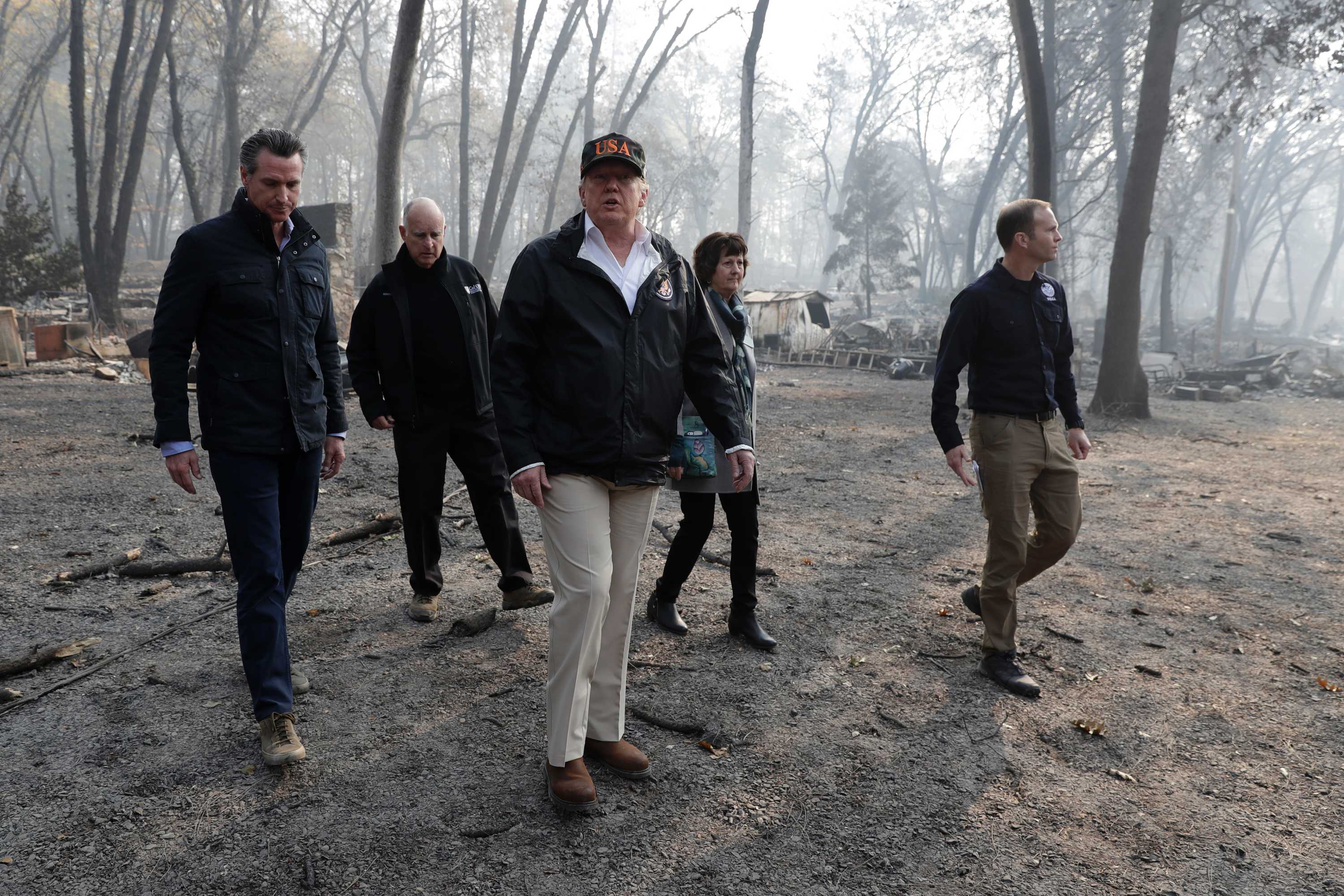 Donald Trump wants California to rake forests to prevent fires. Here's ...