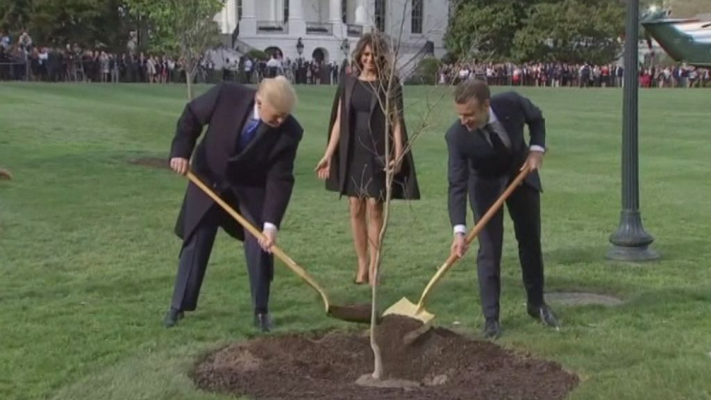 Donald Trump and Emmanuel Macron plant a tree at the White House - ABC News