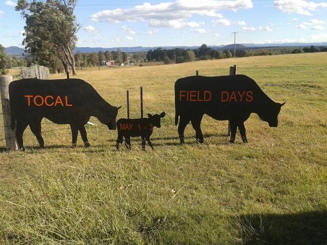 Tocal Field Days cancelled due to safety fears - ABC News