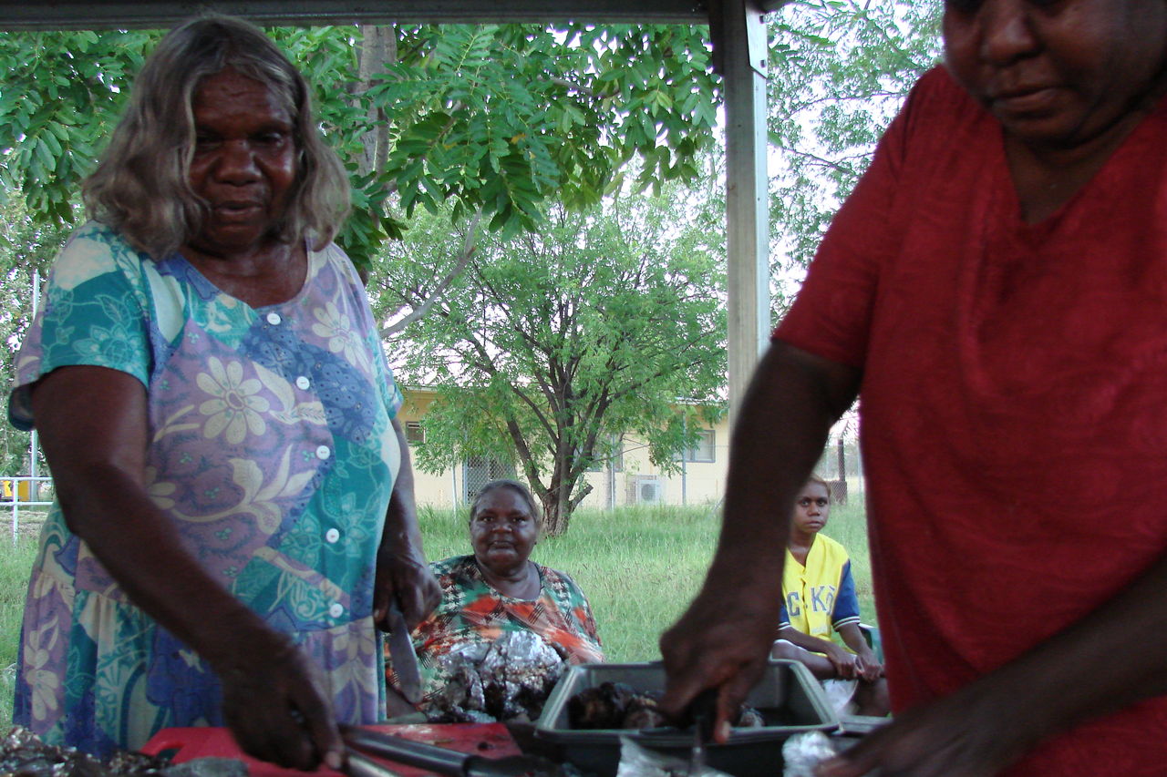 Healthier times ahead at Bayulu - ABC News