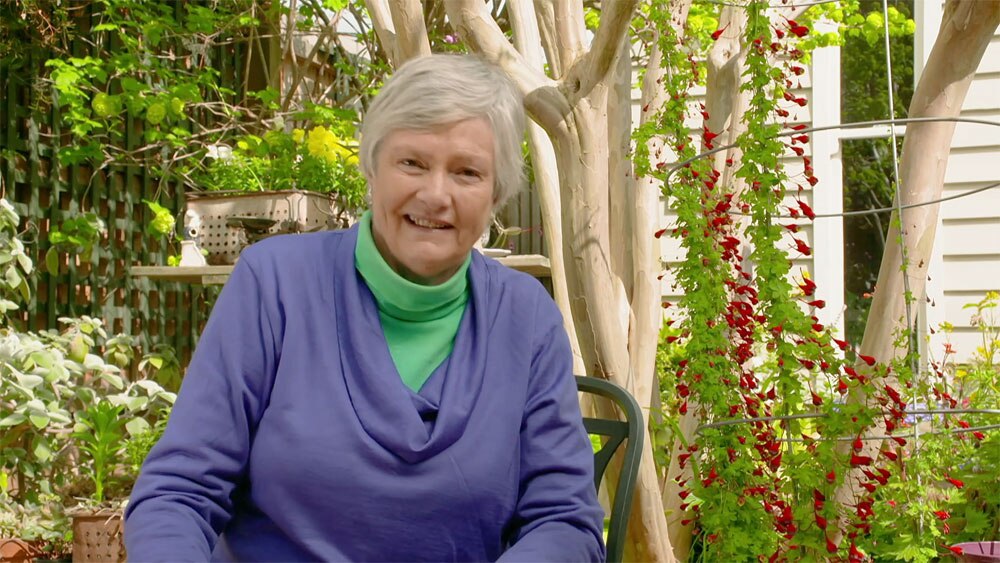 My Garden Path | Jane Edmanson - Gardening Australia