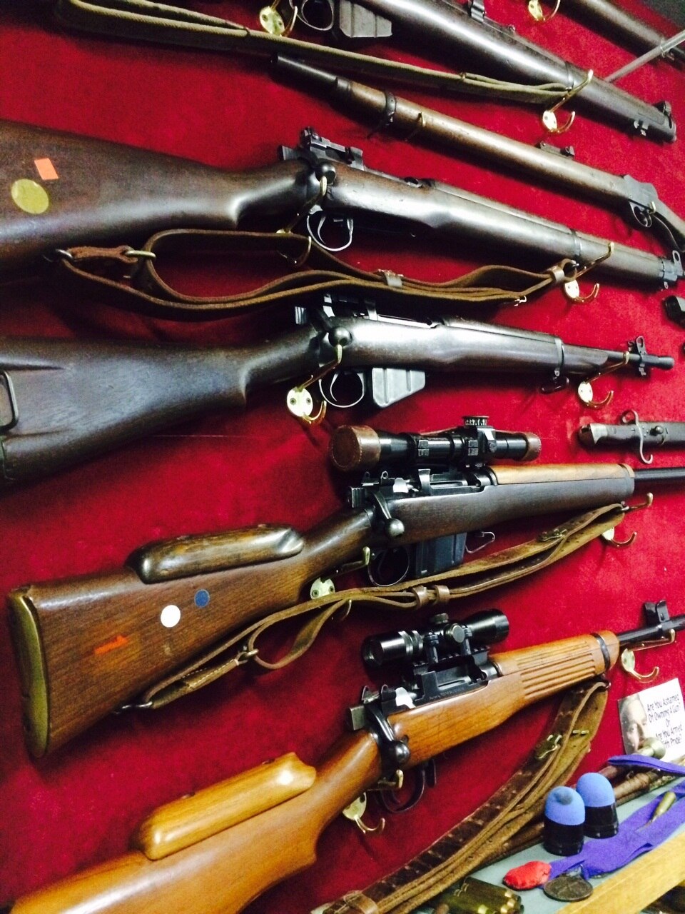 Hunting festival given go ahead to sell guns - ABC Radio