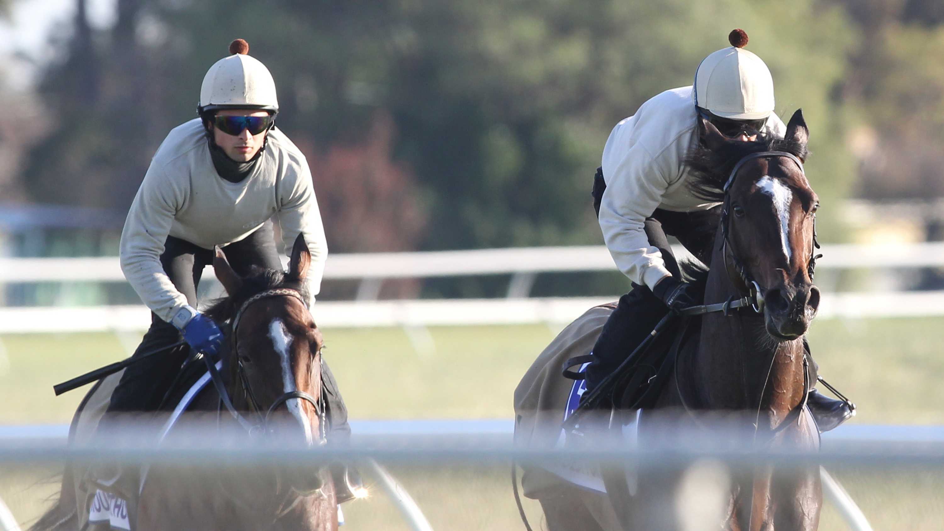 Handicapper defends Cup's international flavour - ABC News