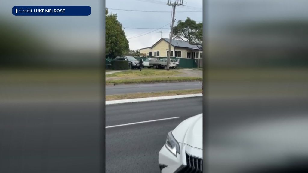 Police pursue suspect after Engadine crash - ABC News