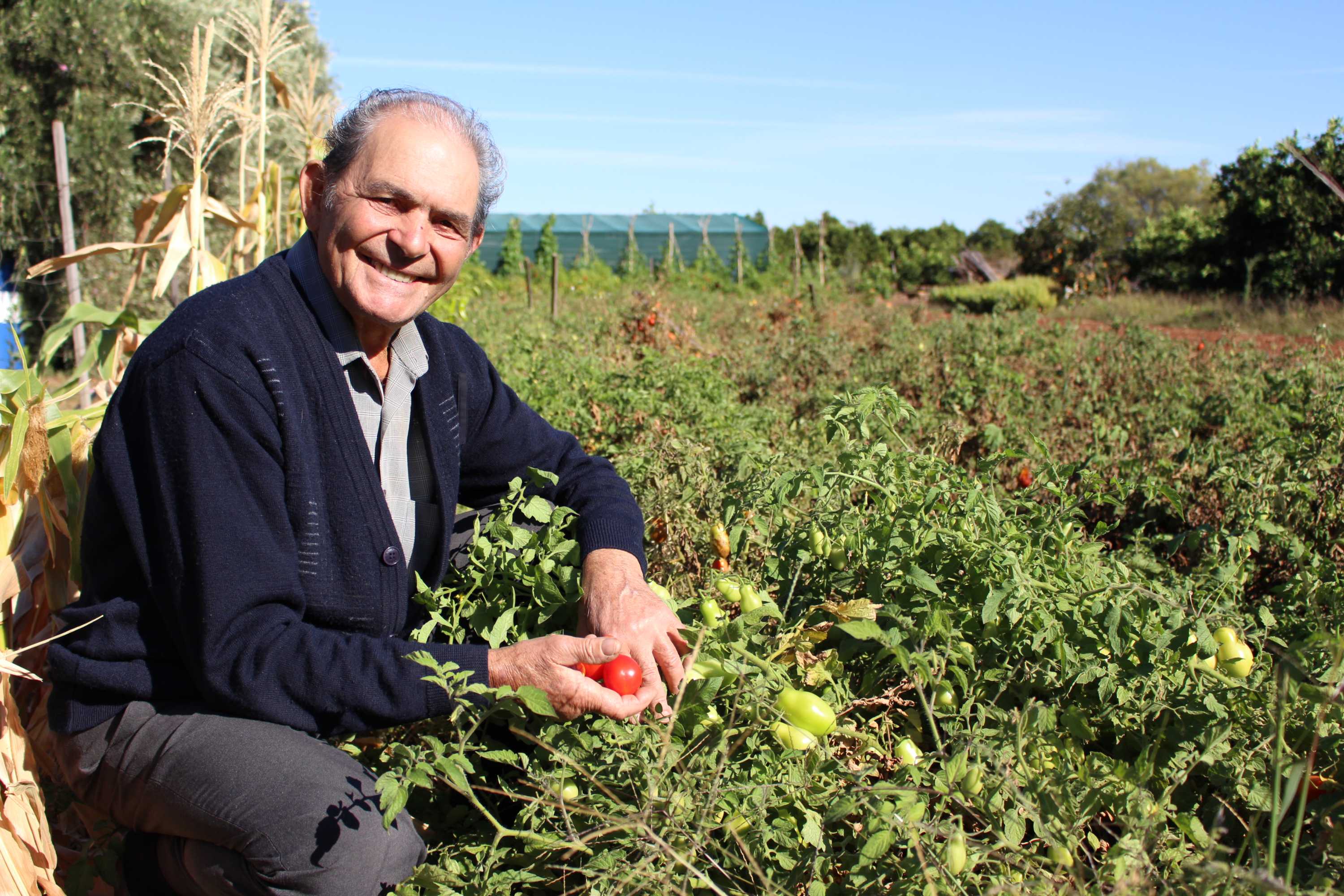 You name it, Frank and Sam Amato probably grow it in their prosperous ...