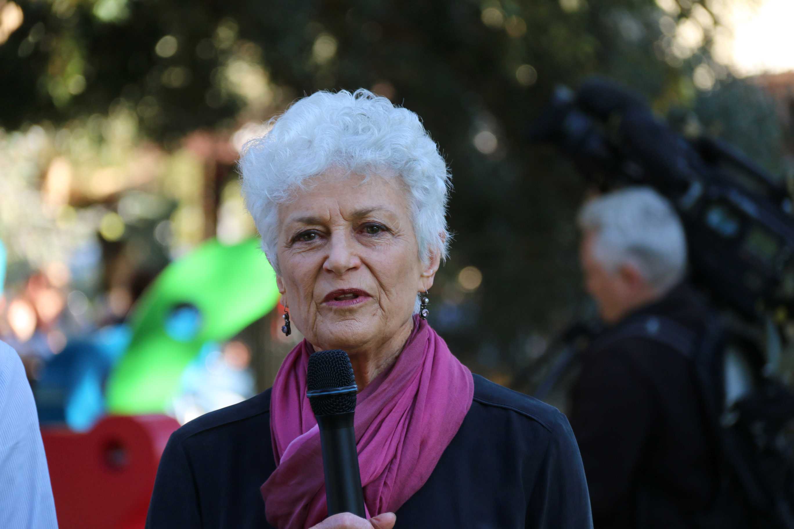 Indigenous suicide rate should be addressed with action, not 'talkfests ...