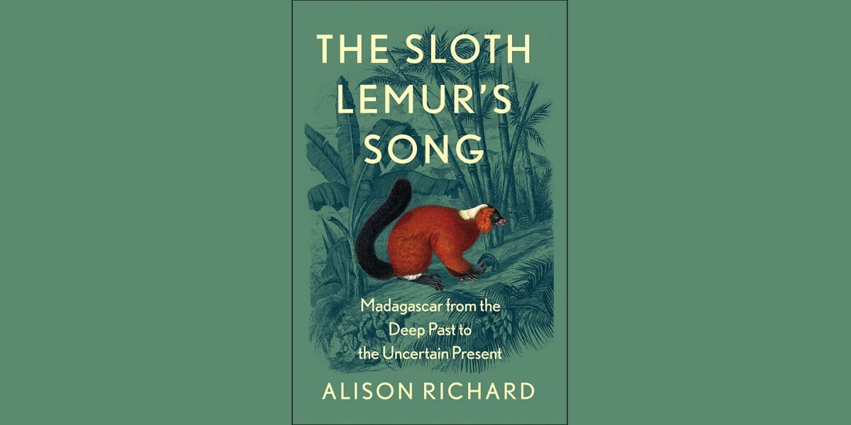 The Sloth Lemur's Song: Madagascar's past and present - ABC listen