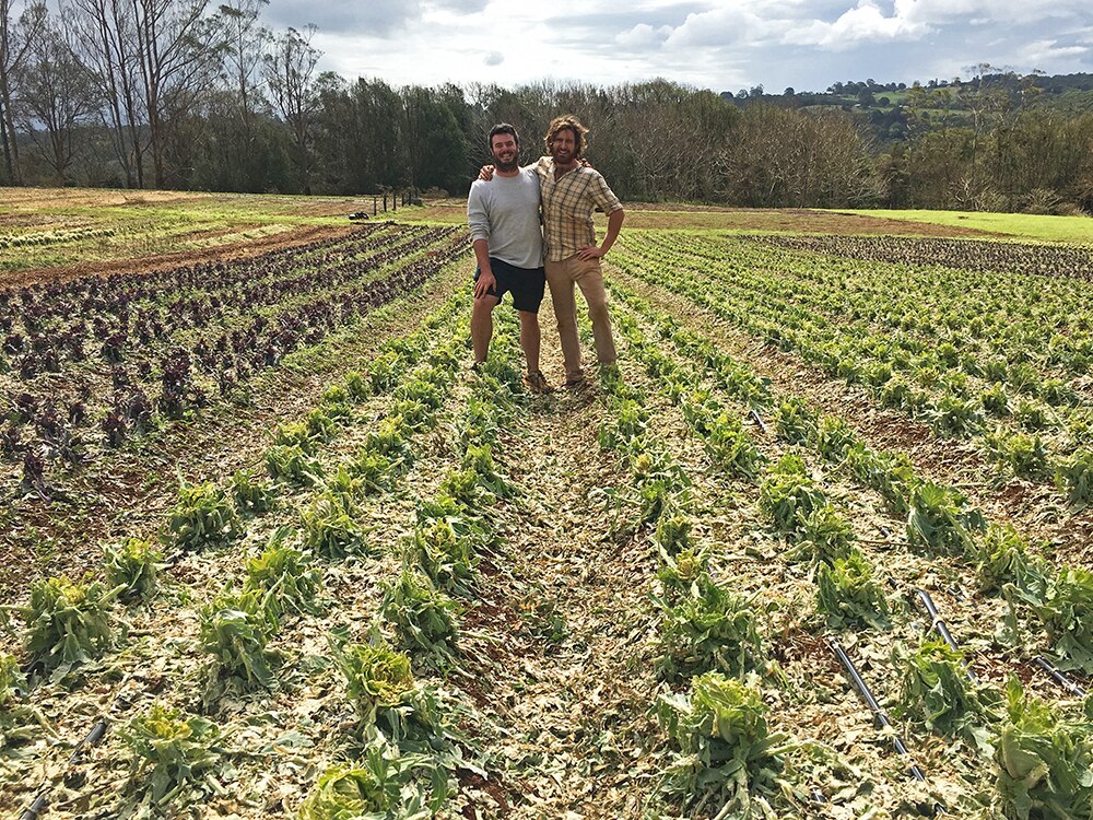 Rous Mill - 2477 - Location - ABC News