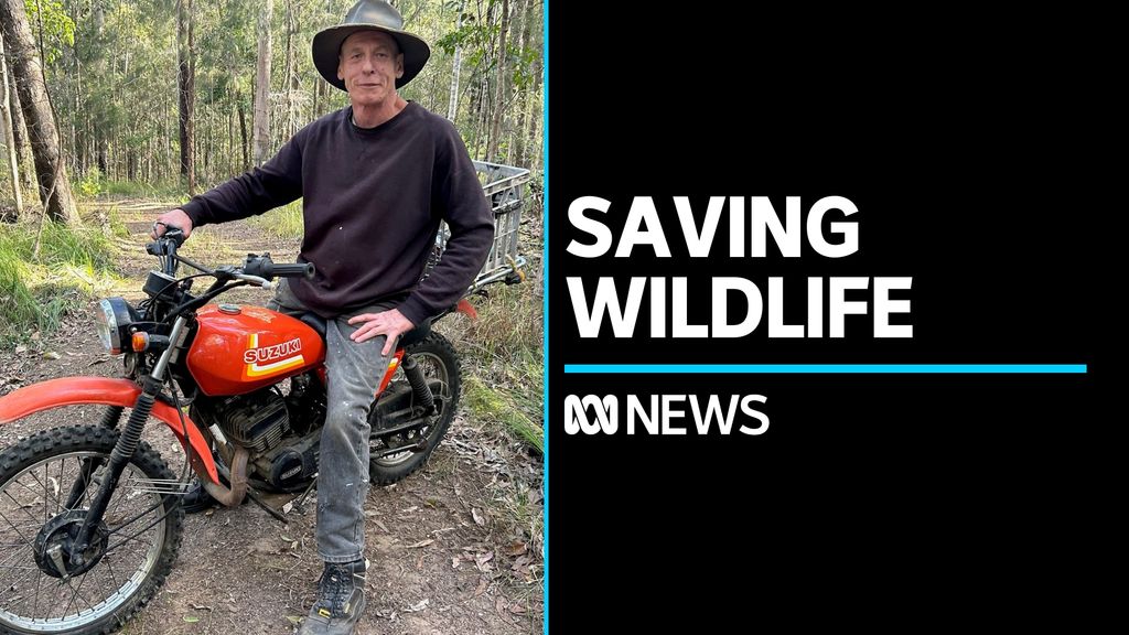 Kyogle - 2474 - Location - ABC News