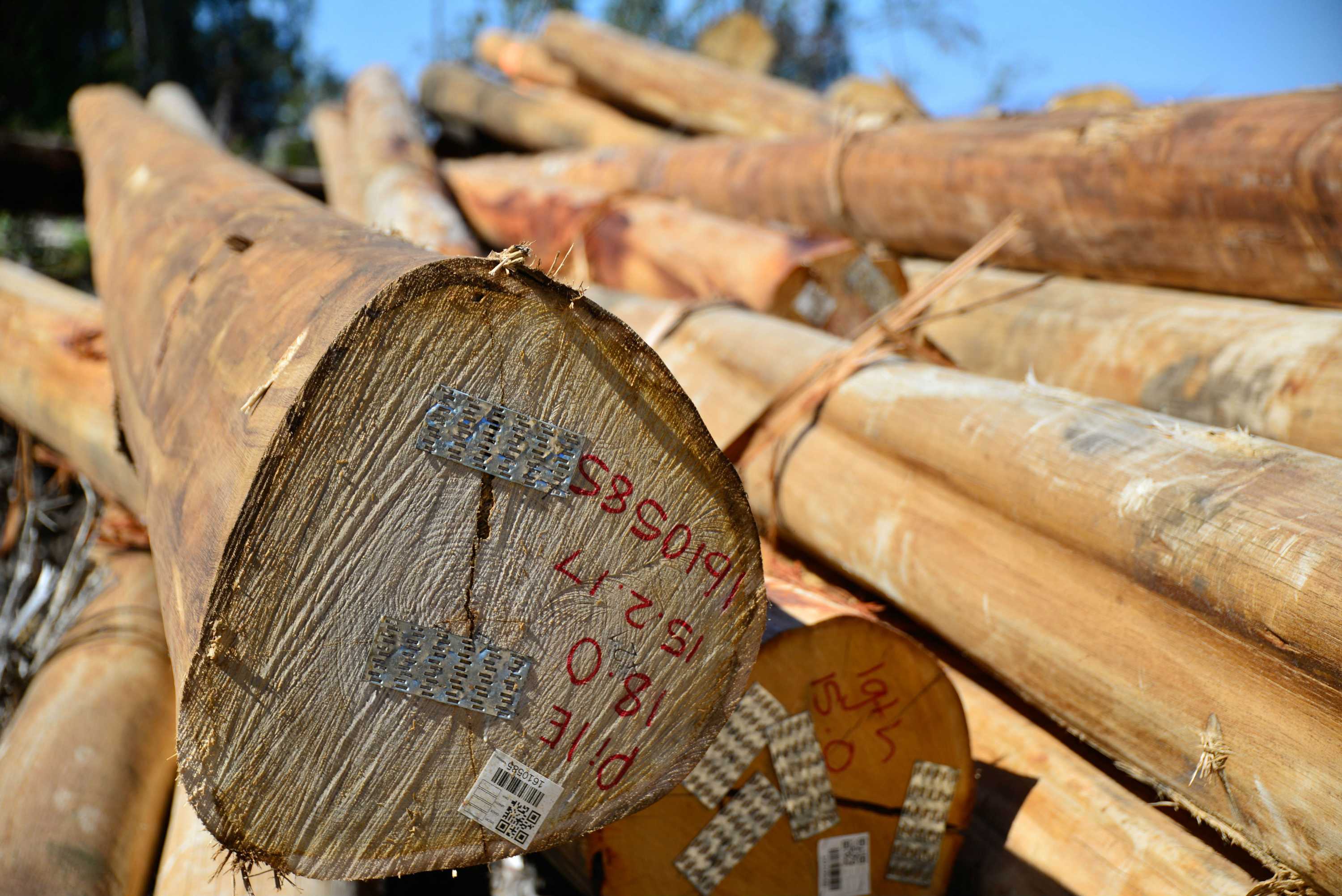 Tasmanian Country Hour - ABC listen