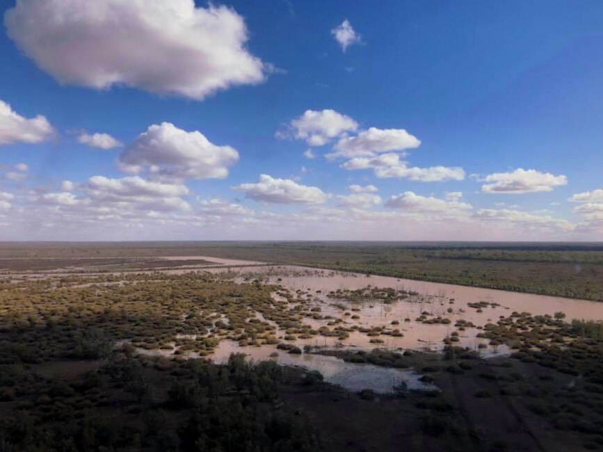 Australia's cotton production halved as drought and low to no water ...