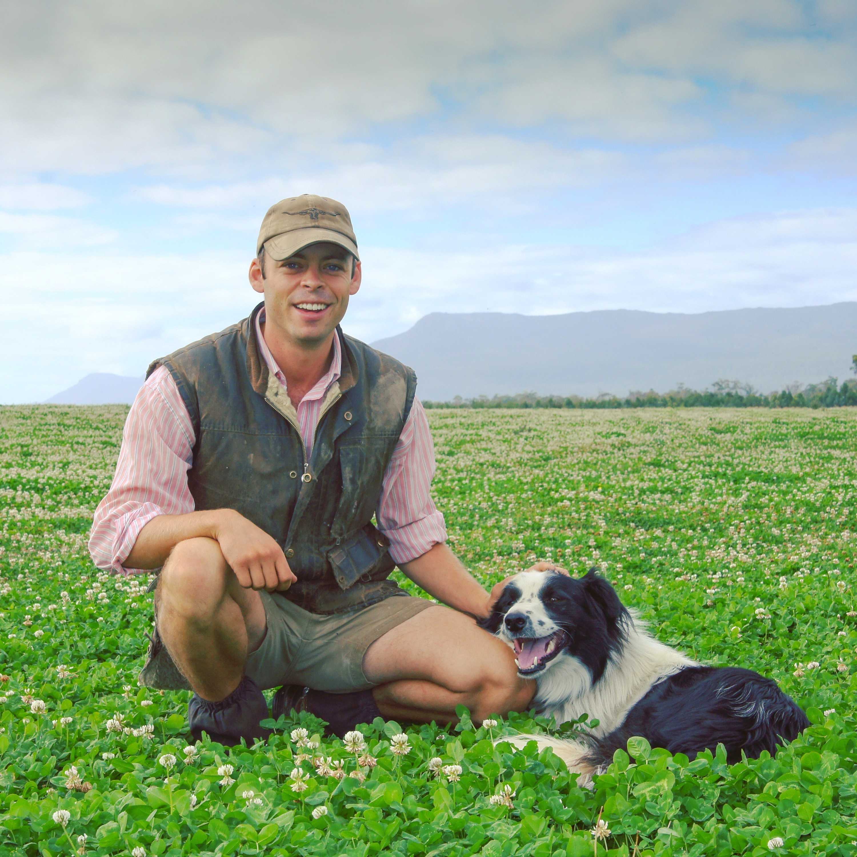 Australian lamb prices continue to sizzle as overseas demand soars ...
