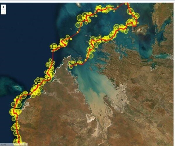 Whale tangled in fishing ropes cut free after more than a week of ...