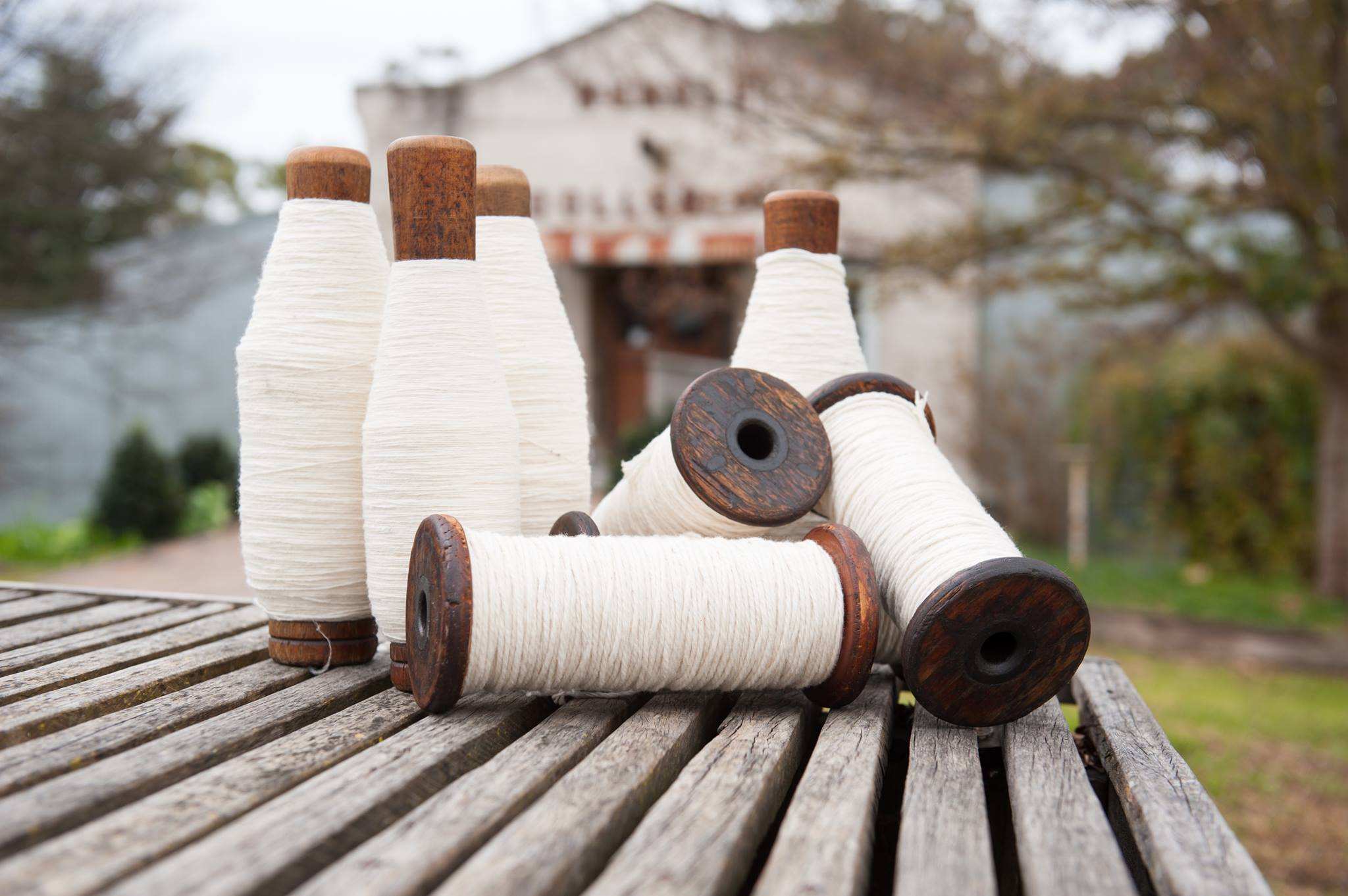 Nundle Woollen Mills selects a Tasmanian producer to supply wool ...