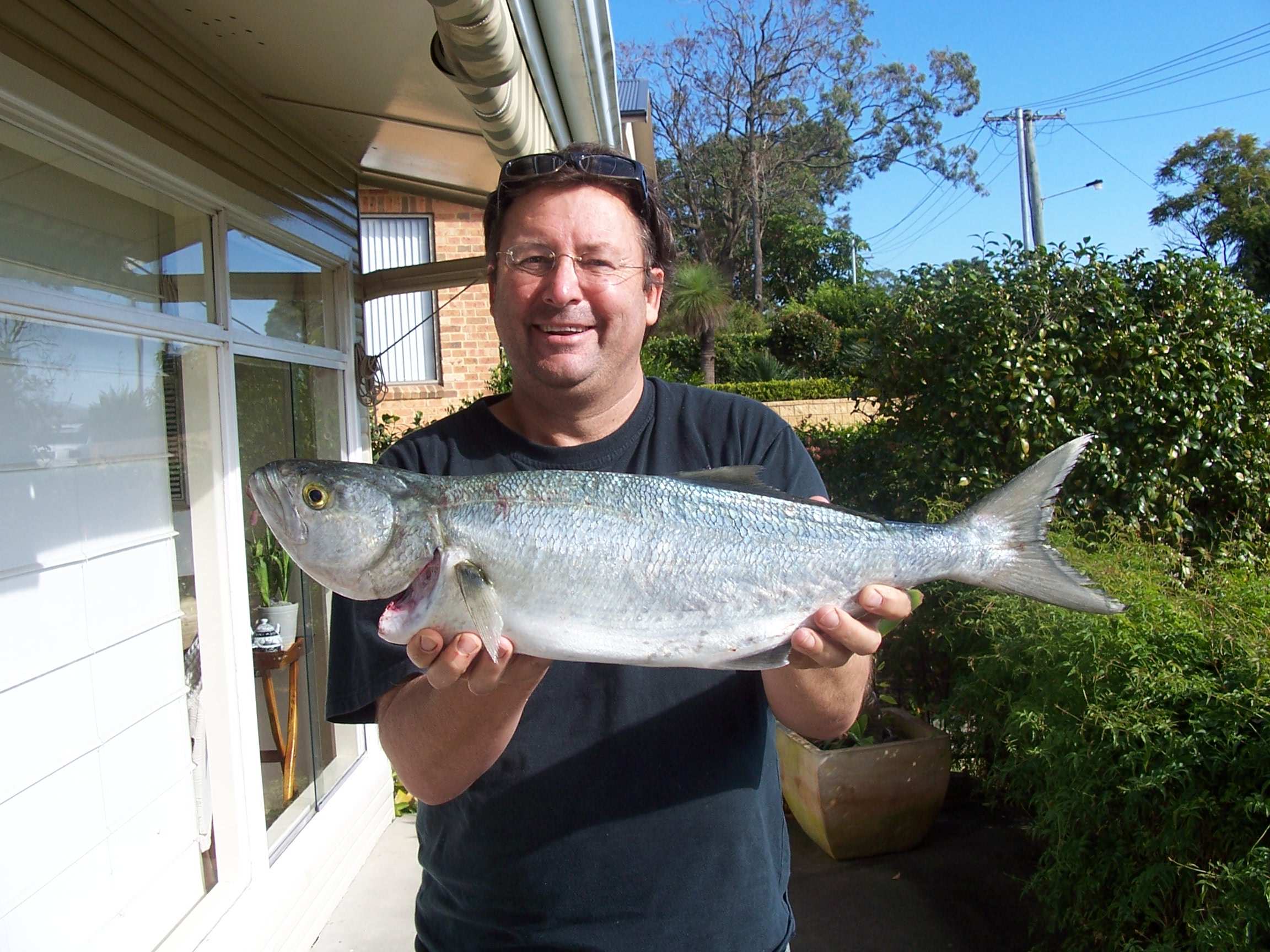 The Big Fish tea smoked tailor with salsa and odd baits - ABC listen