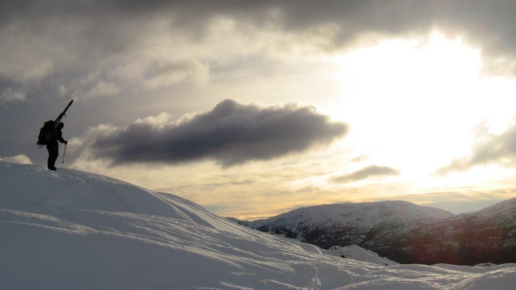 Permeate: Bridget Nicholson - ABC Radio National