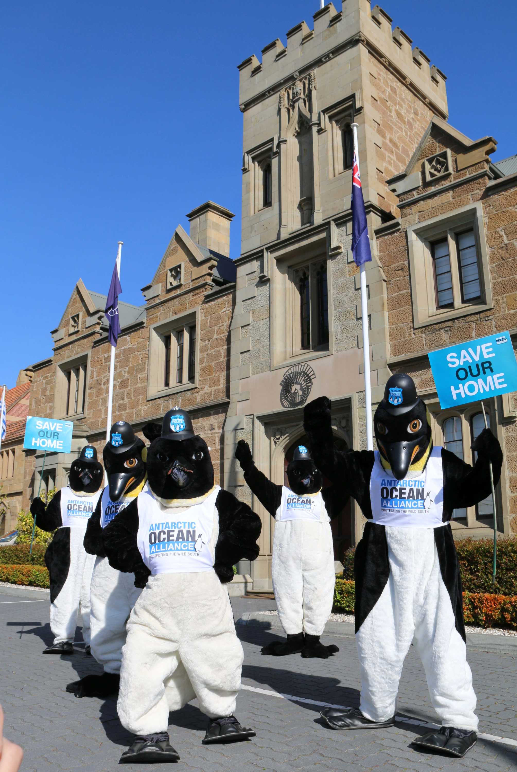 World's largest protected marine area could soon be declared by ...