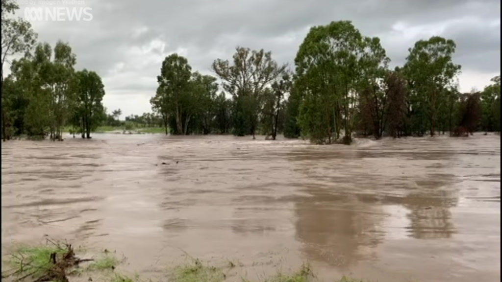 Heavy rain floods properties in Queensland's southern inland - ABC News