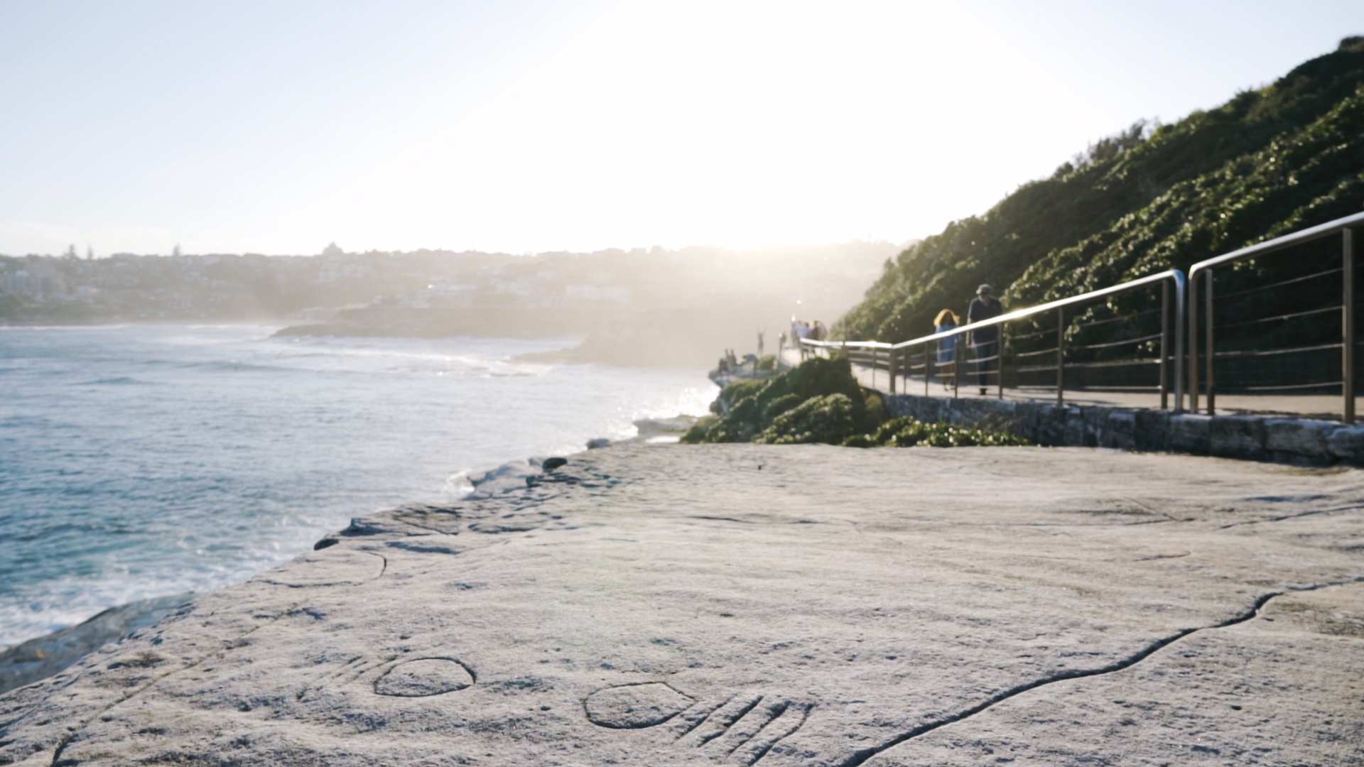 Gawura Guruwin (Whale Shark) - ABC News