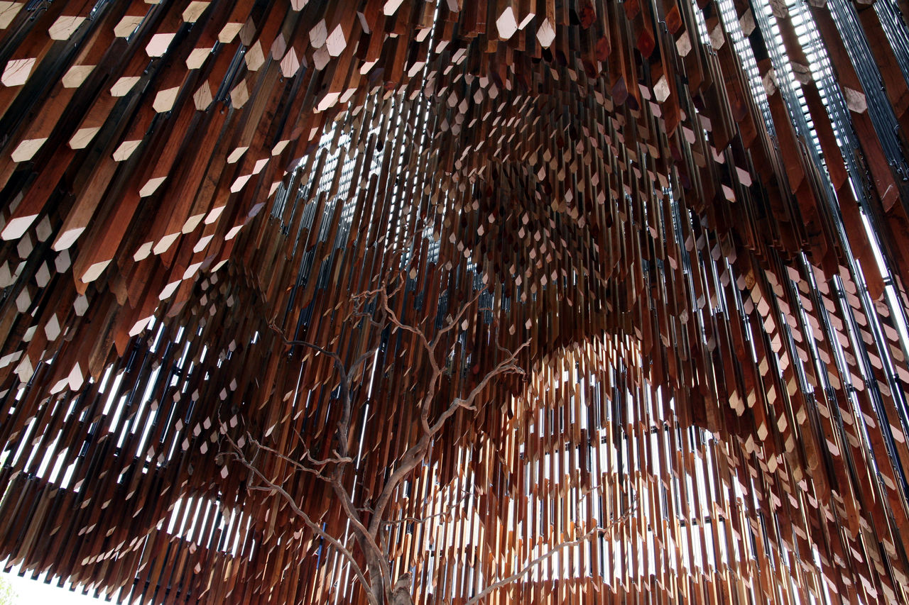 Barcaldine unveils Tree of Knowledge memorial - ABC News