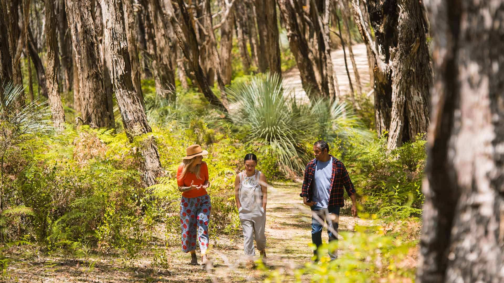 Back to Nature - ABC Education
