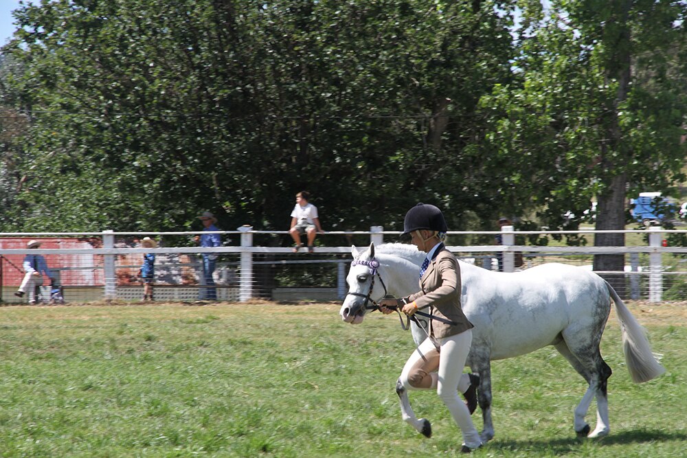 Tenterfield celebrates local show despite COVID forcing it to a one-day ...
