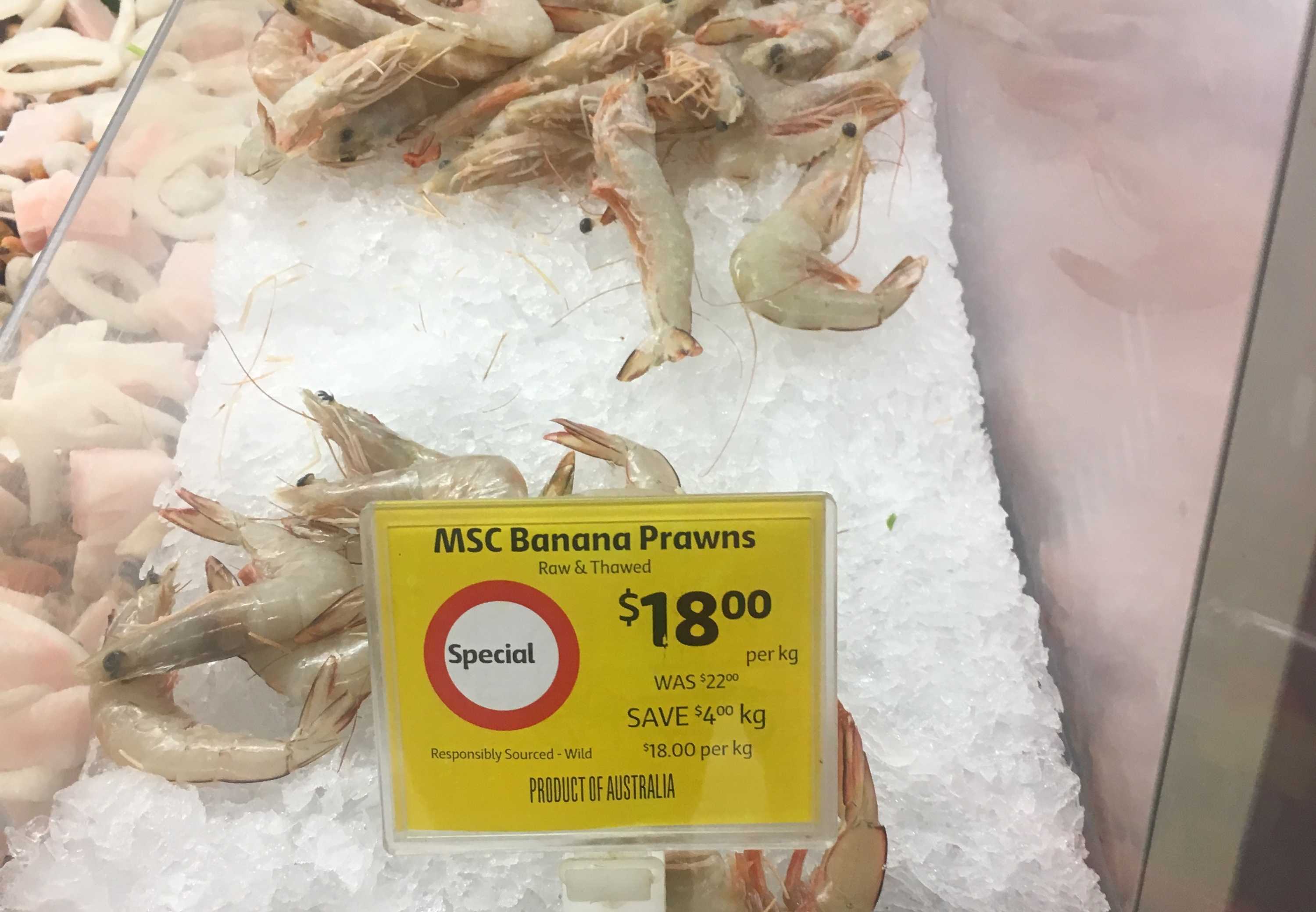 White spot disease imported through supermarket prawns: report - ABC listen