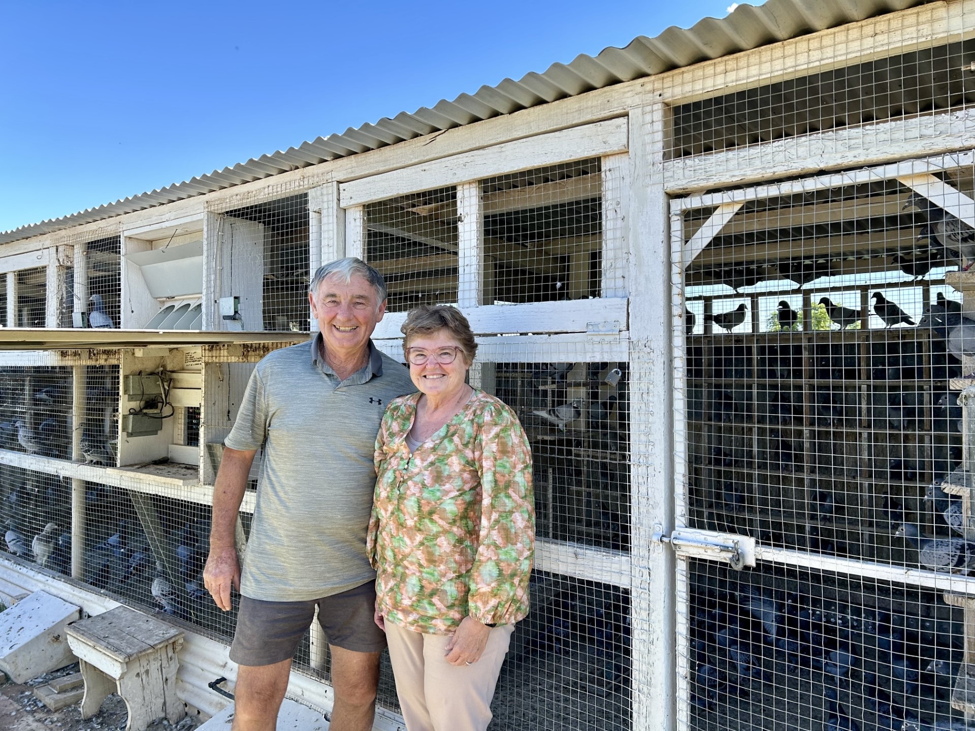 Broken Hill man's love of competitive pigeon racing leads his beloved ...
