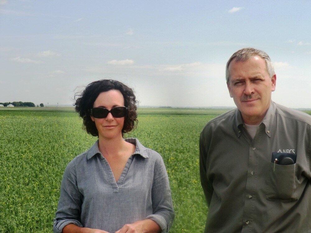 Capturing the potential of friendly fungi - ABC News