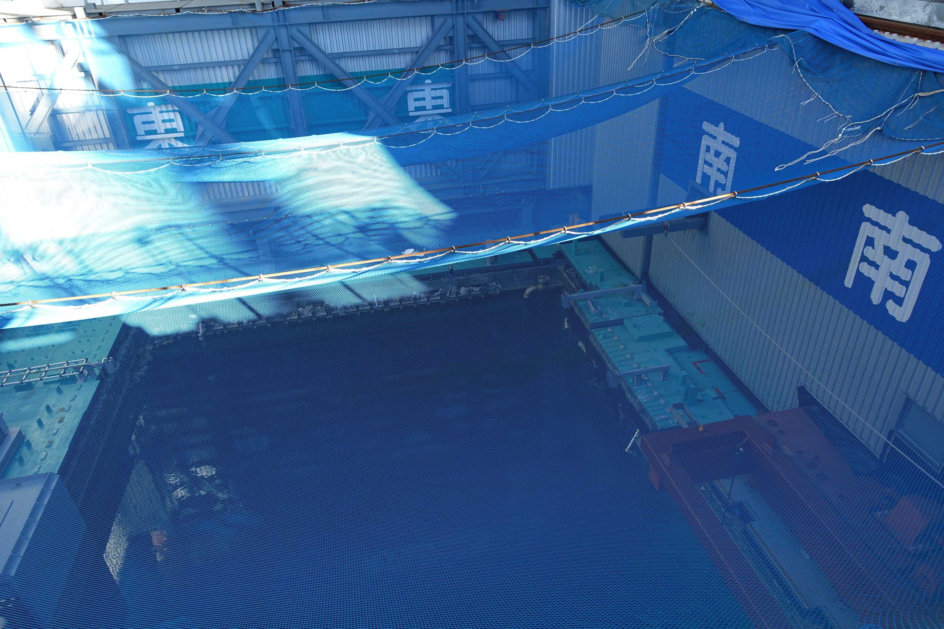 Japan begins massive nuclear pool clean-up after Fukushima disaster ...