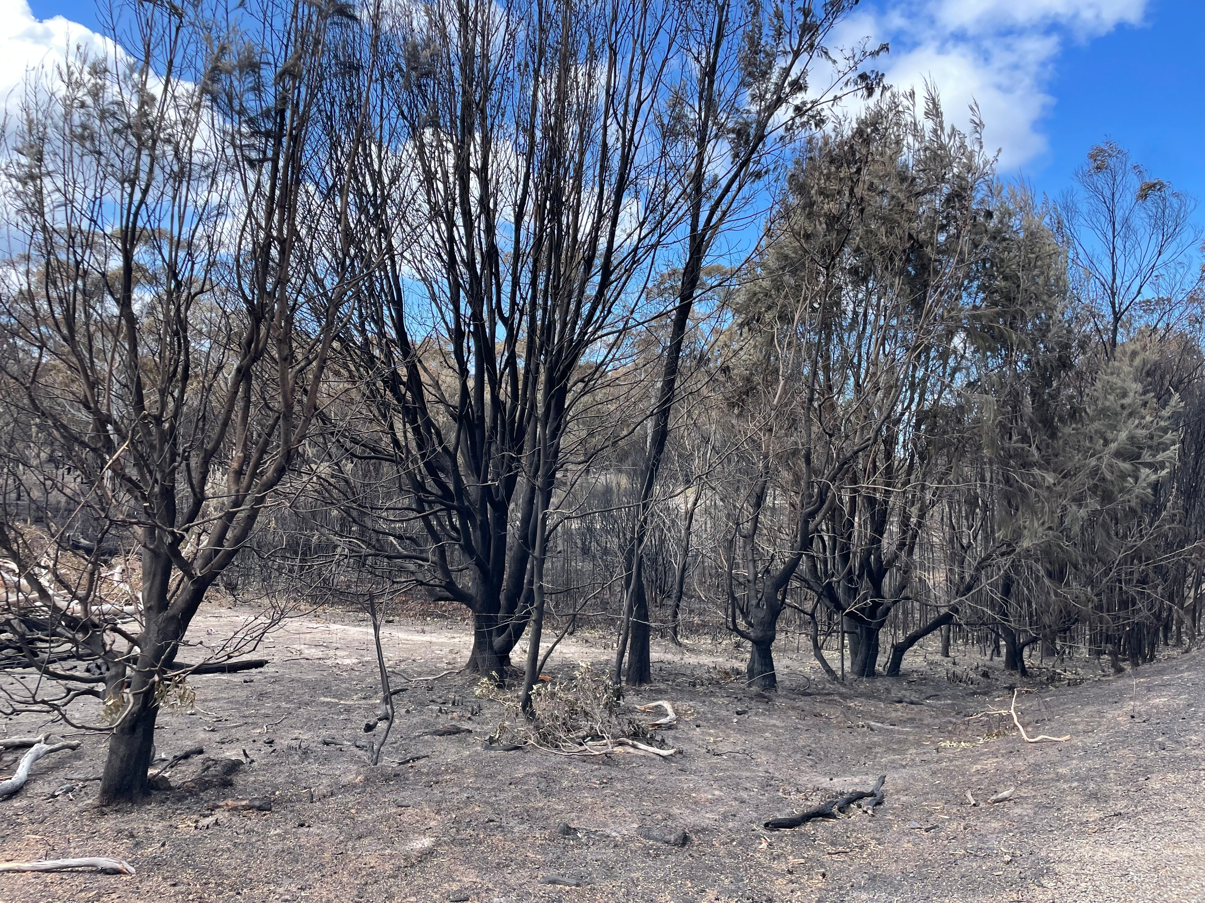 Tasmania Fire Service says valuable lessons will be learnt from the ...