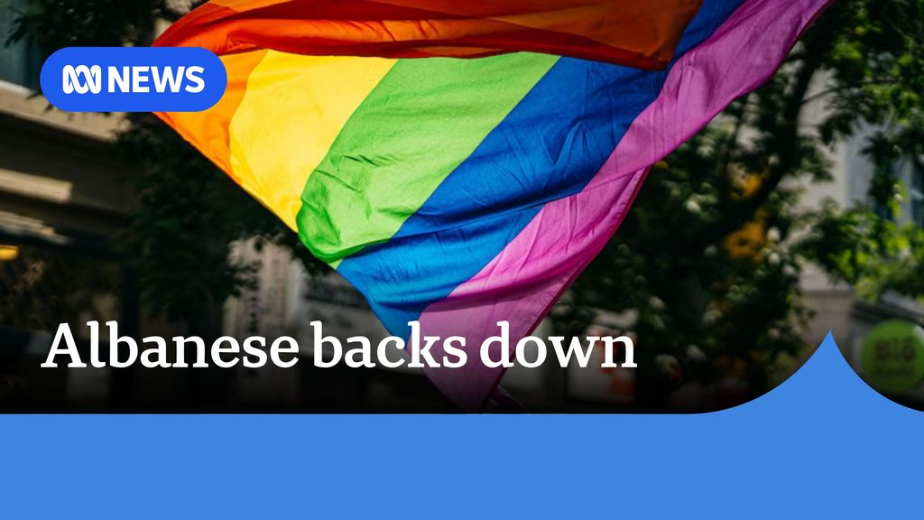 Elijah Wood returns to NZ for heartwarming new adventure film ...