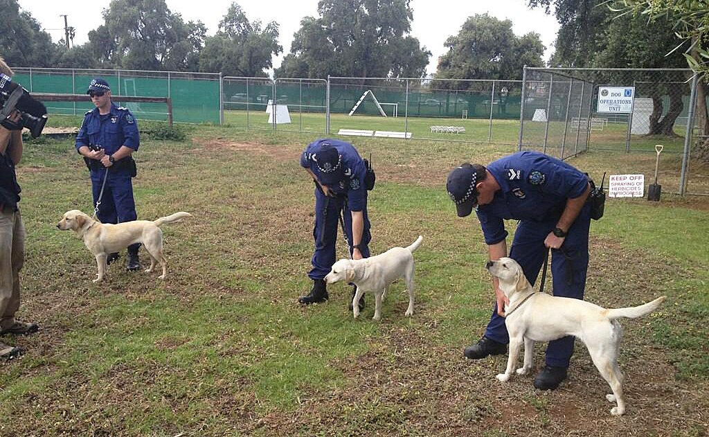 End automatic parole, says SA Opposition - ABC News