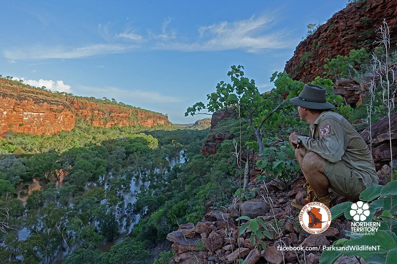 Keep River National Park 'lush' after above average wet season rainfall ...