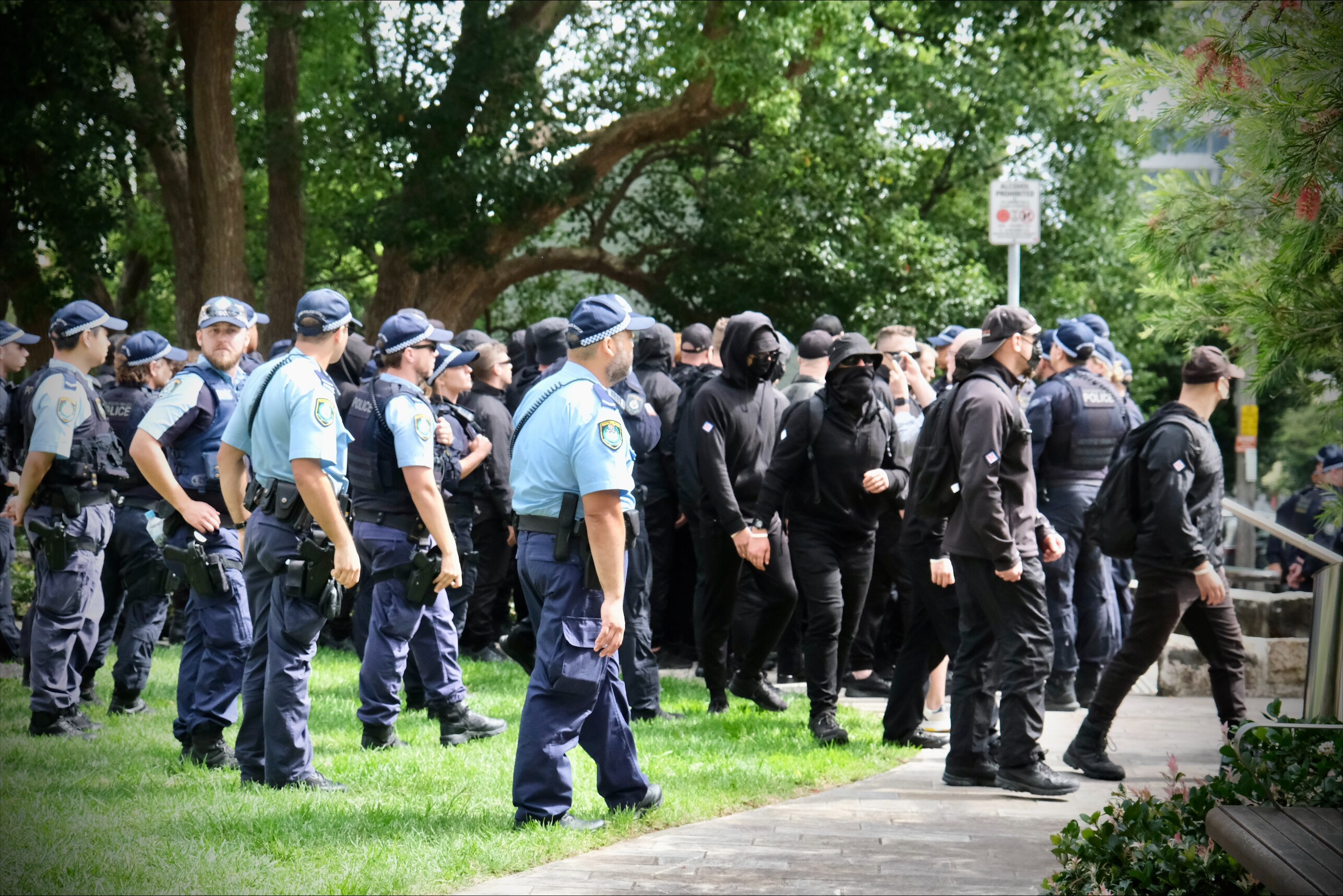 Prime minister condemns 'Neo-Nazi activity' following Sydney incident ...