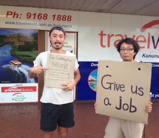 Backpackers in desperate search for casual work - ABC News