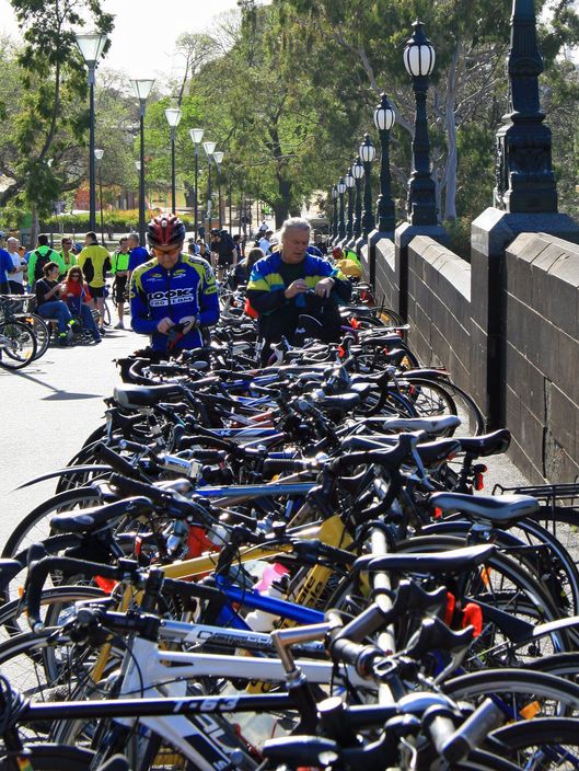 Cycle path network key to getting Newcastle motorists out of their cars ...